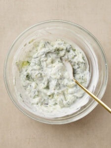 Homemade Tzatziki Sauce Recipe - Wyse Guide