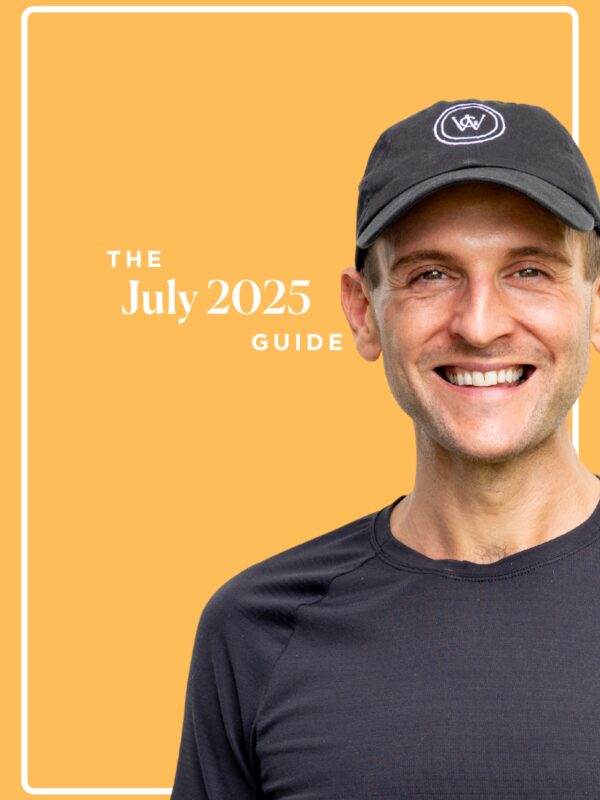 Newsletters Archives - Wyse Guide