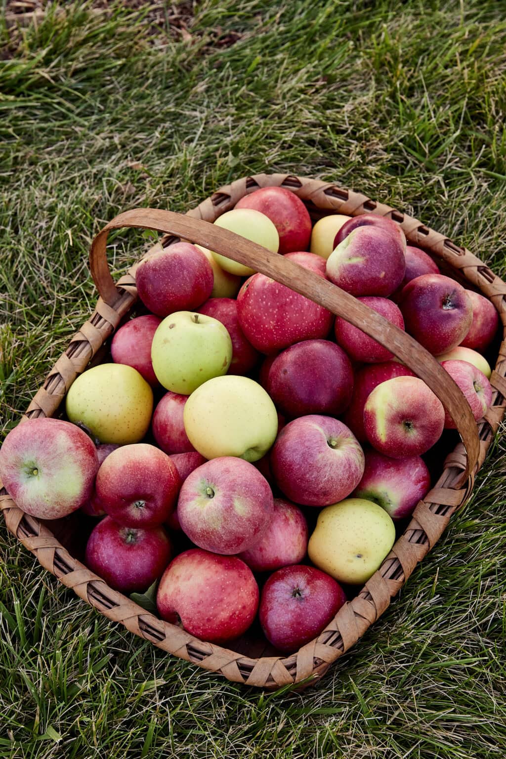Best Apples for Baking & Cooking (Pie, Crisp, Applesauce, Cider) - Wyse ...