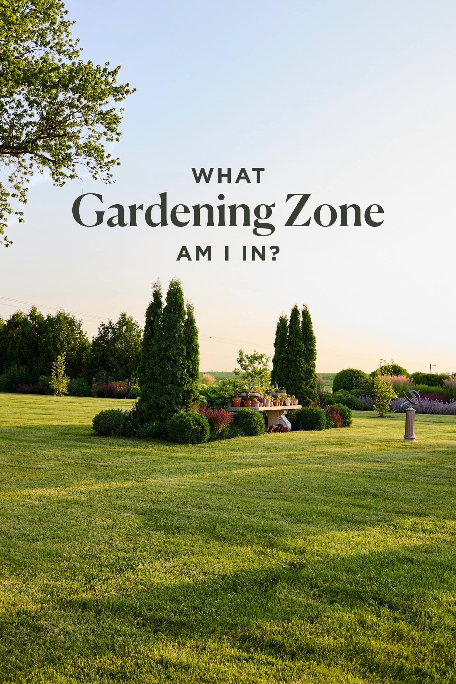 What Gardening Zone Am I In? (How to Find + Tips) - Wyse Guide