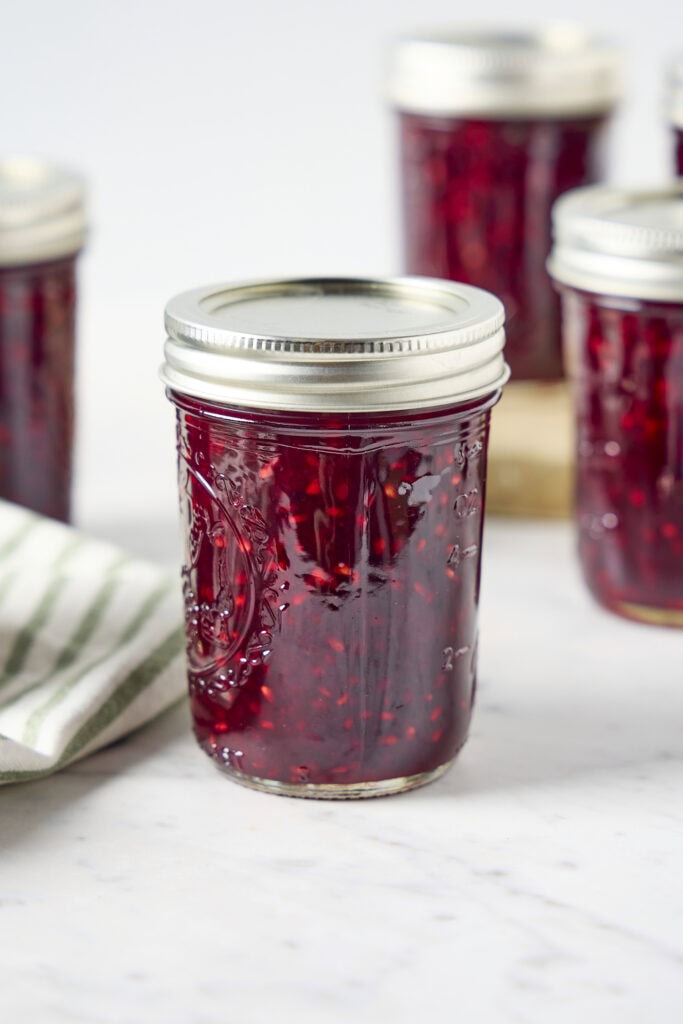 Blackberry Jam Recipe (Pectin Method) + Video - Wyse Guide